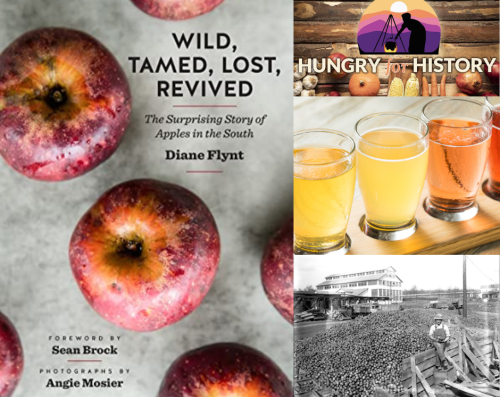 Home | Handley Regional Library System